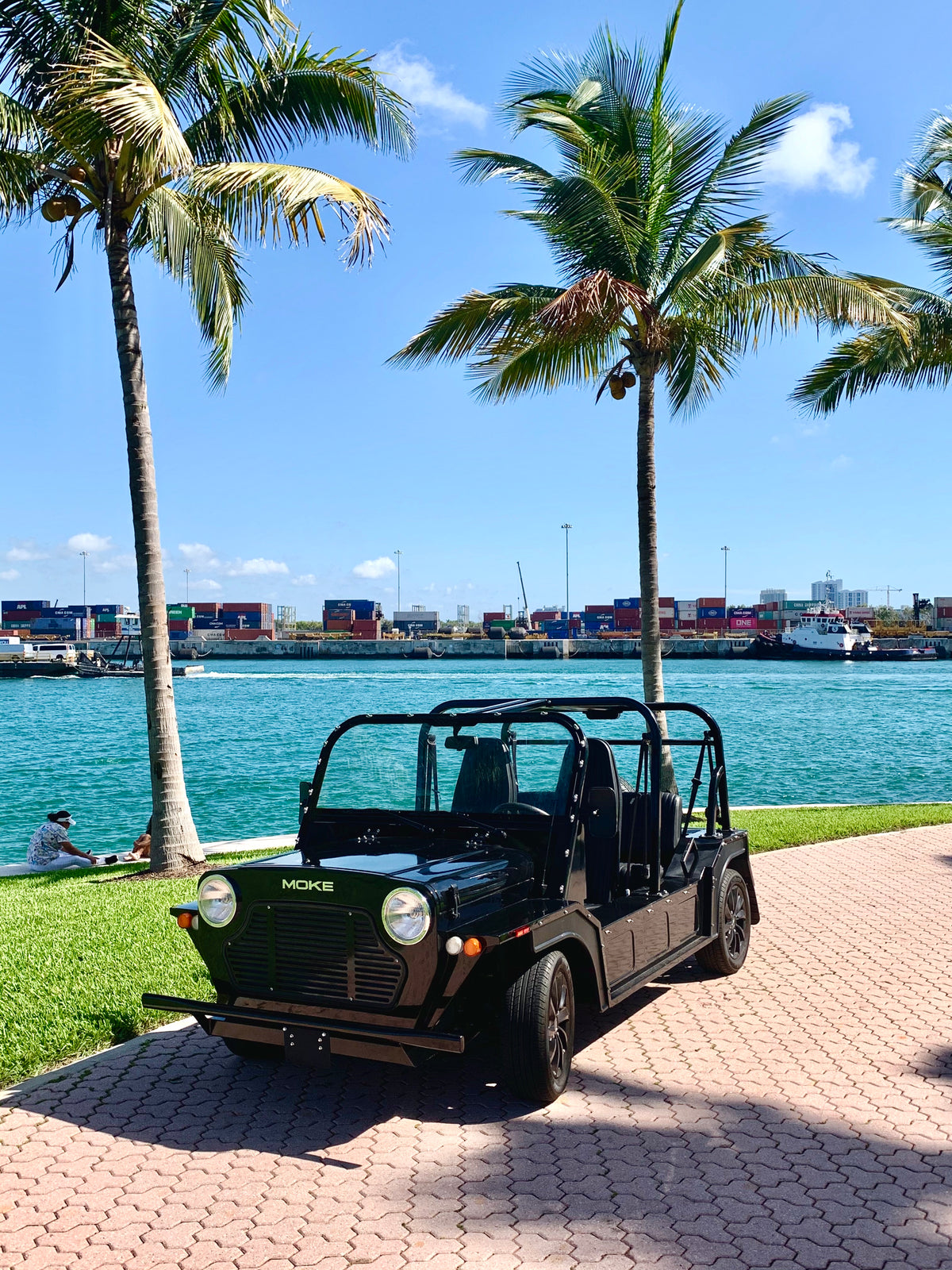 Pre-Order 2025 Moke America eMOKE Lithium Four Passenger Black — C2 ...